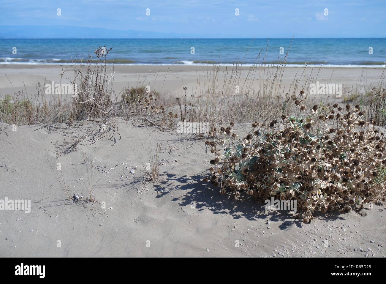 sand dunes in the nature park delta de l'ebre Stock Photo - Alamy