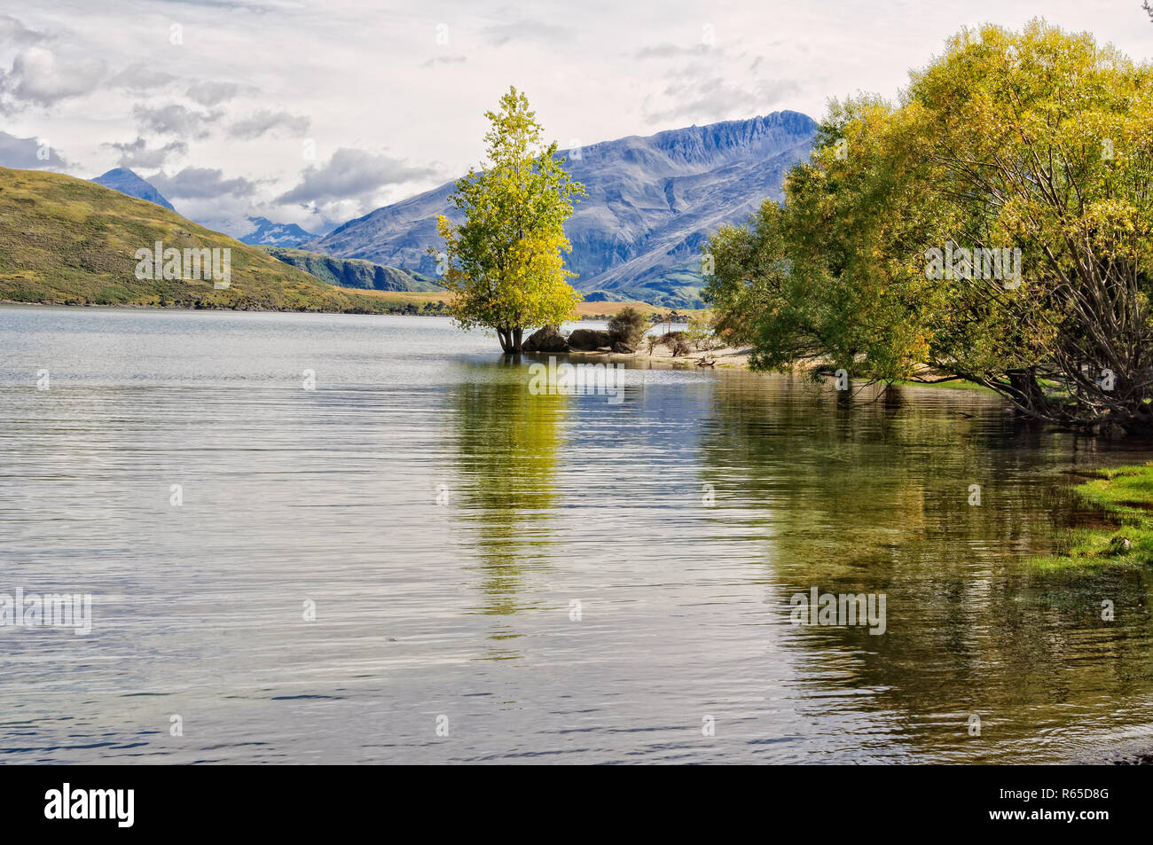 Glendhu Bay - Wanaka Stock Photo - Alamy