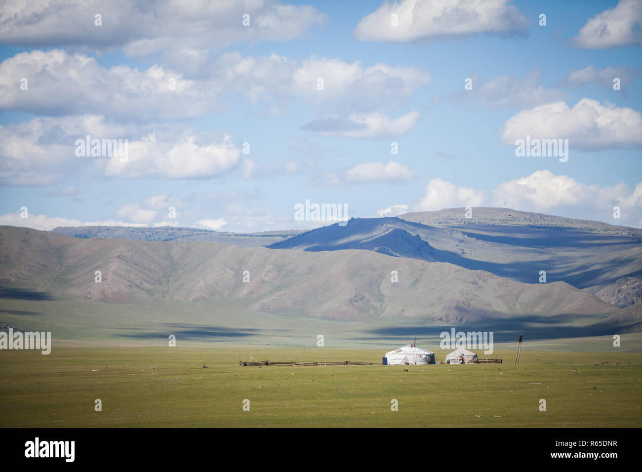 Mongolian yurt on a hill Stock Photo - Alamy
