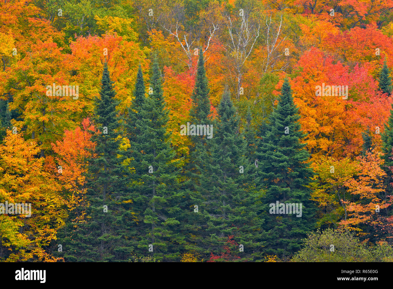Shawanaga first nation hi-res stock photography and images - Alamy