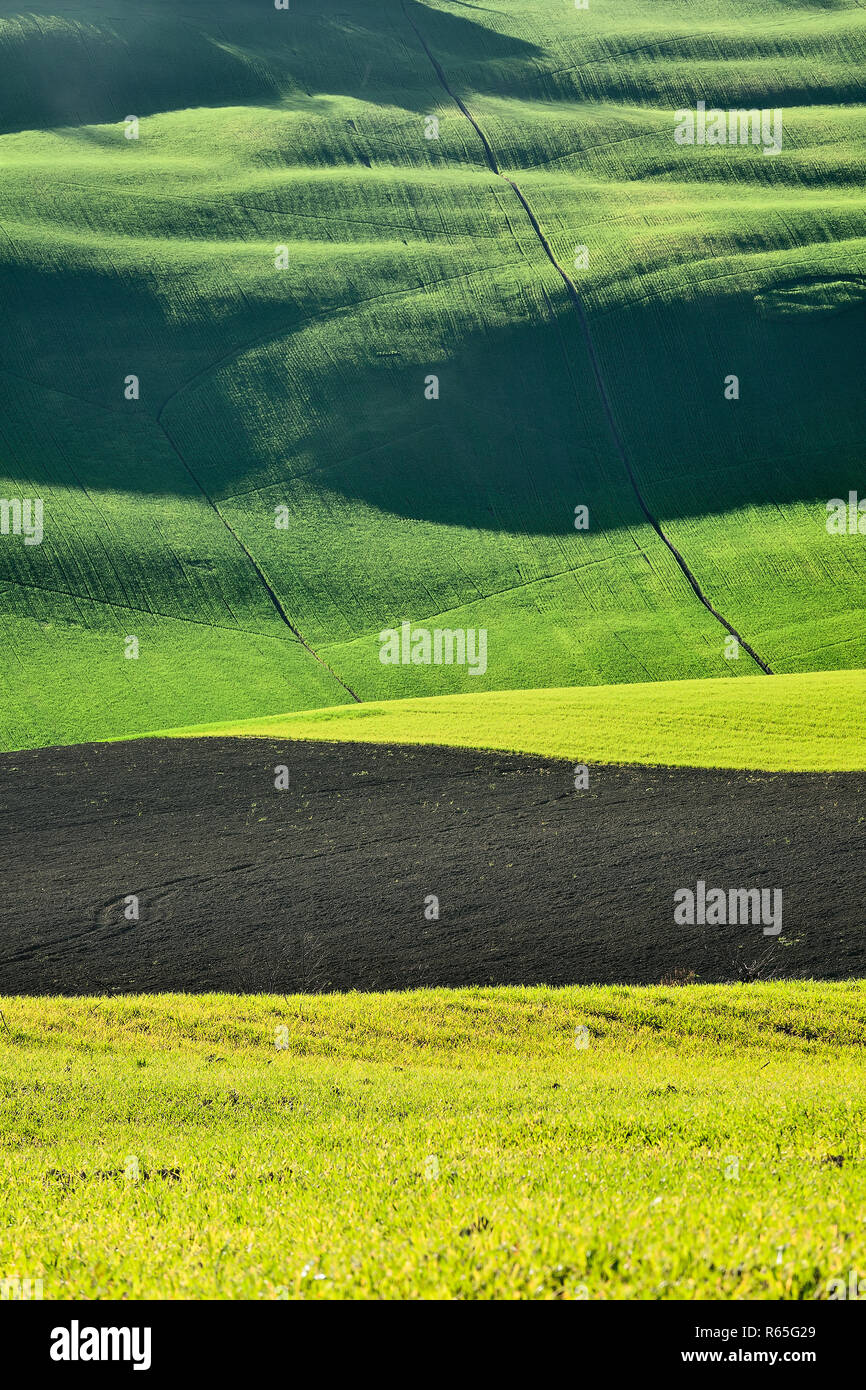 Rural grass field landscape Stock Photo - Alamy