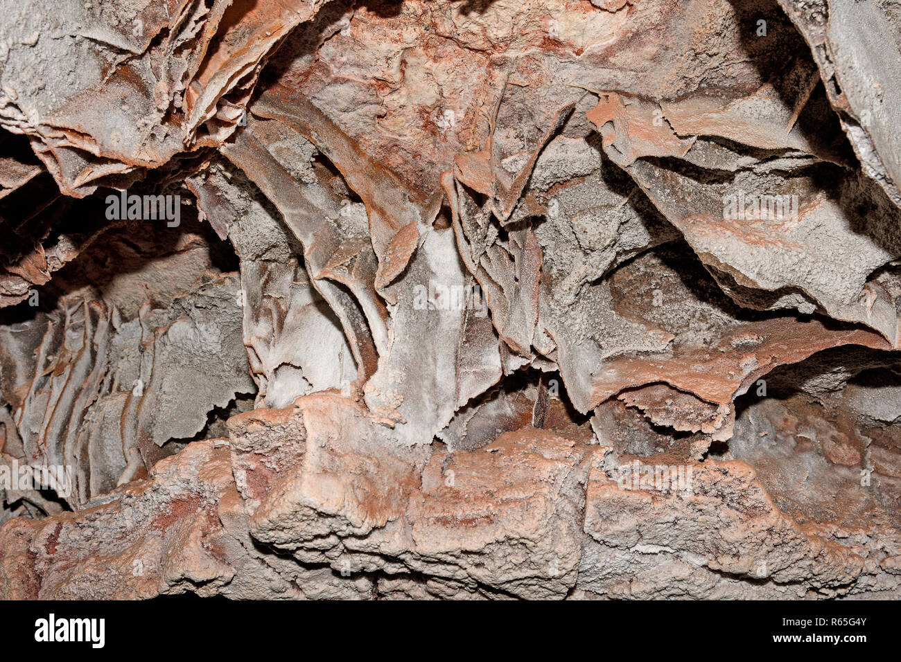 Boxwork details hi-res stock photography and images - Alamy