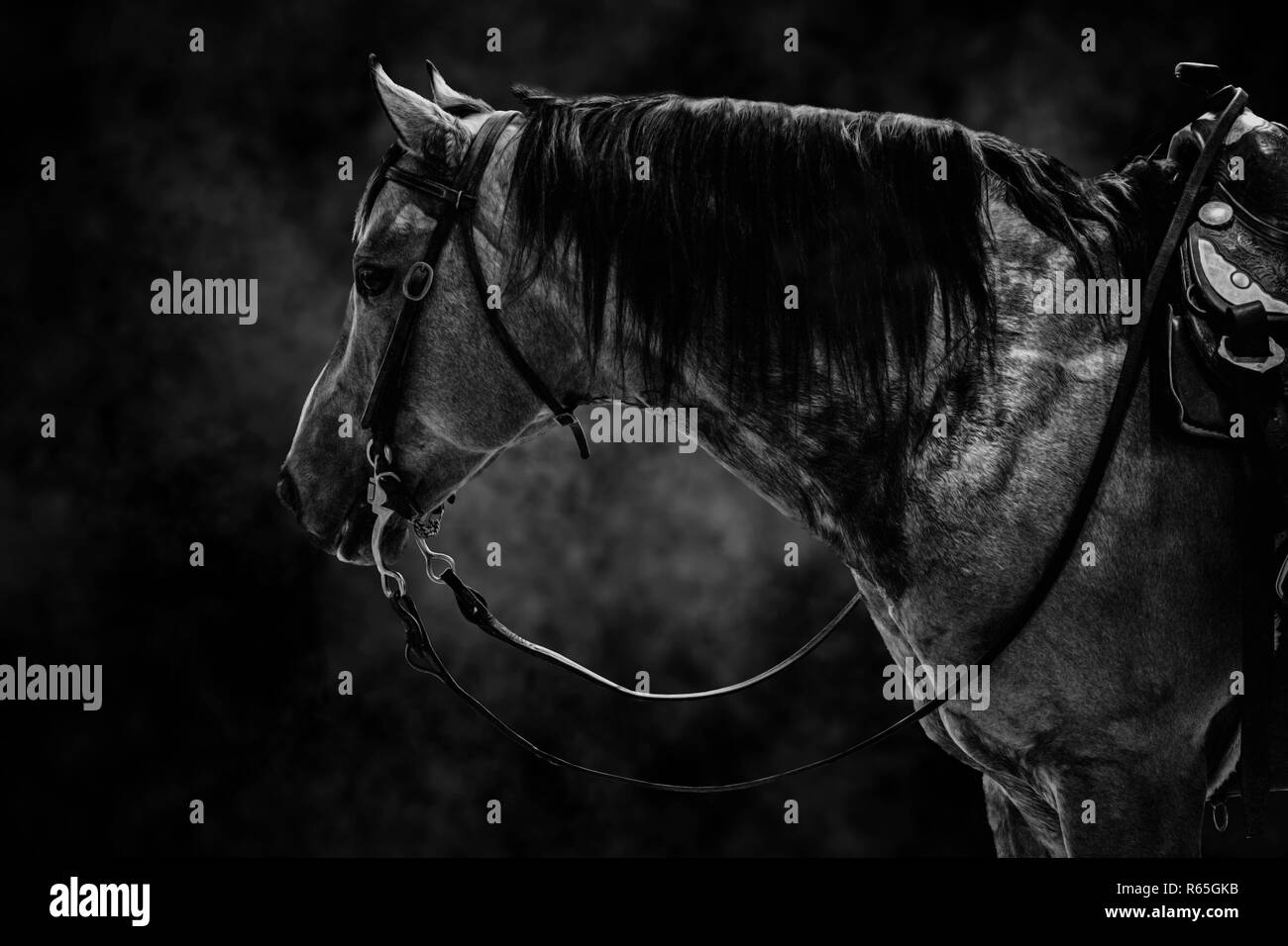 Competition chance Black and White Stock Photos & Images - Alamy