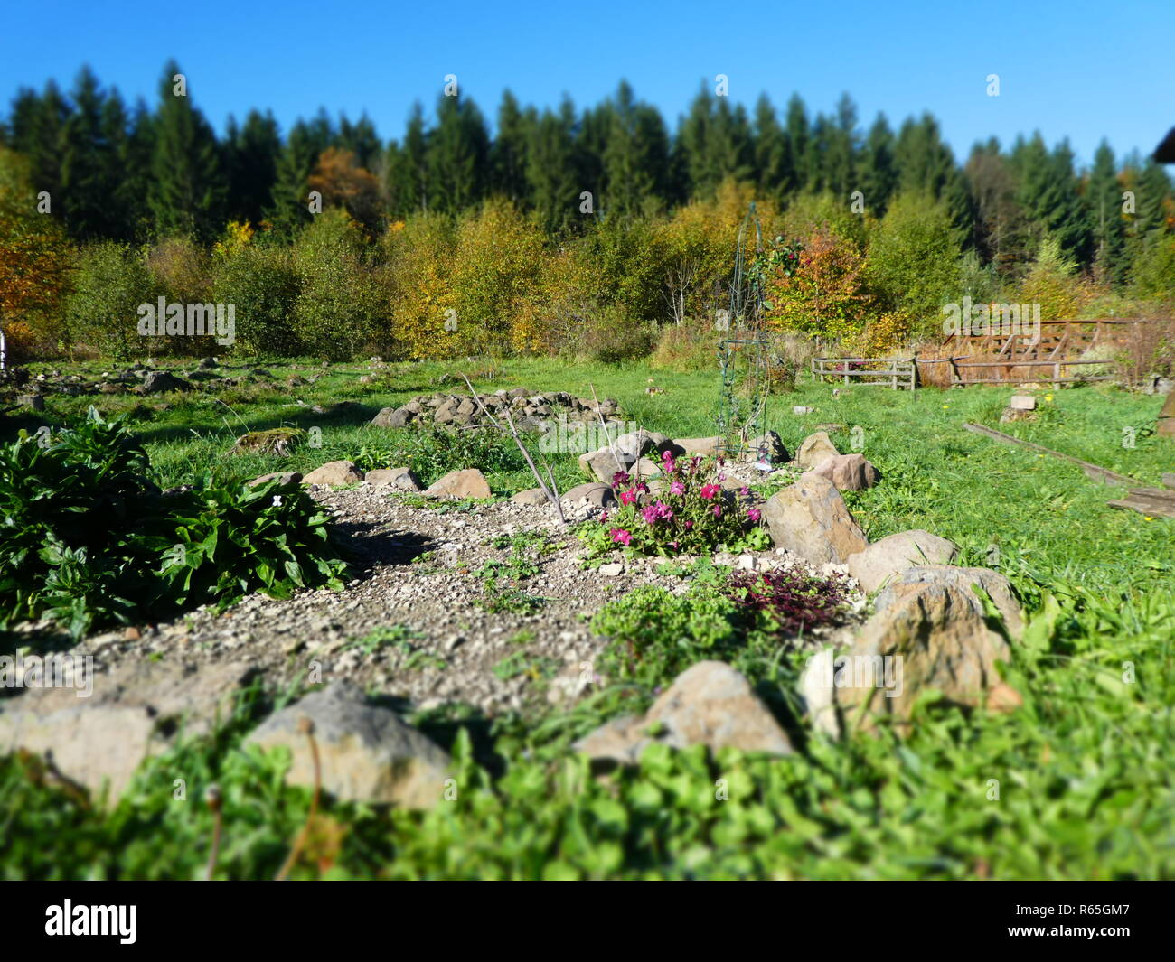 Steinbeet hi-res stock photography and images - Alamy