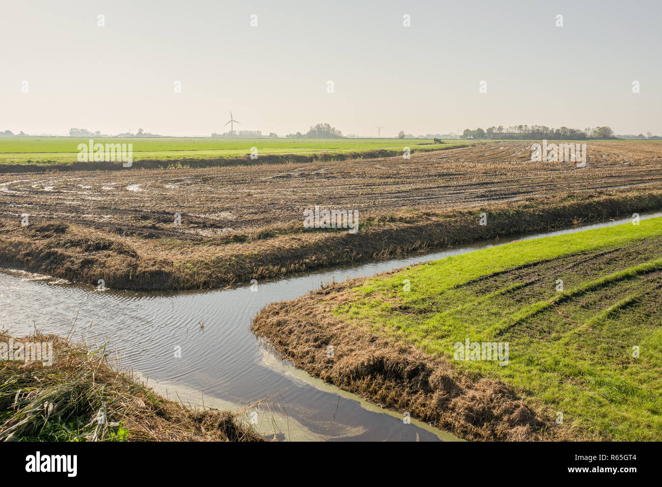 Pastures and water in backlight Stock Photo - Alamy