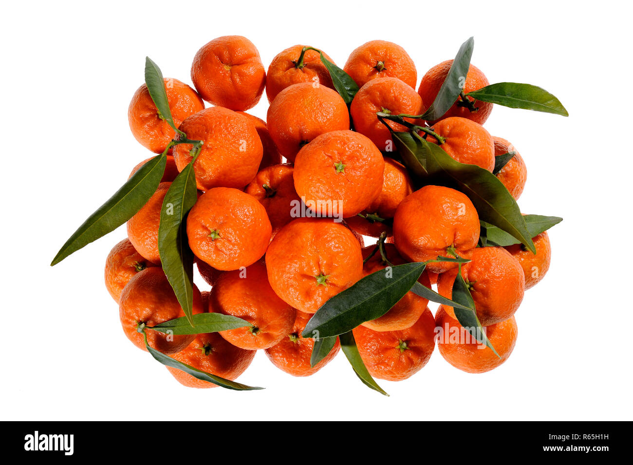 Citrus grove Cut Out Stock Images & Pictures - Alamy
