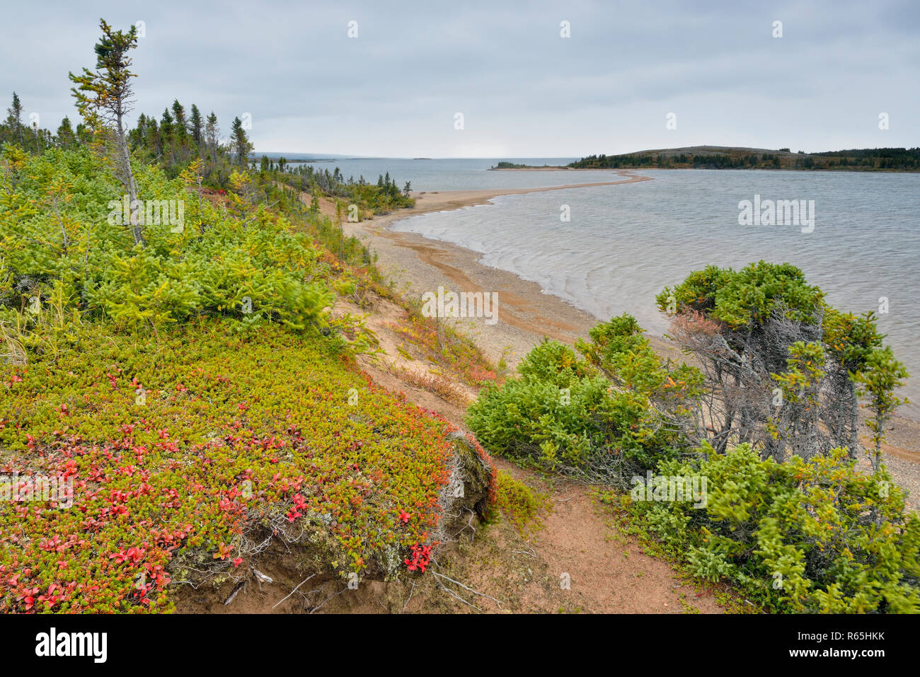 Overlooking Ennadai Lake in autumn, from a small island, Ennadai Lake ...