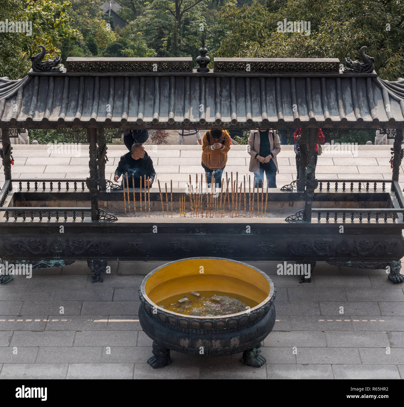 Sacred Trees On The Grounds Of Taiqing Gong Temple