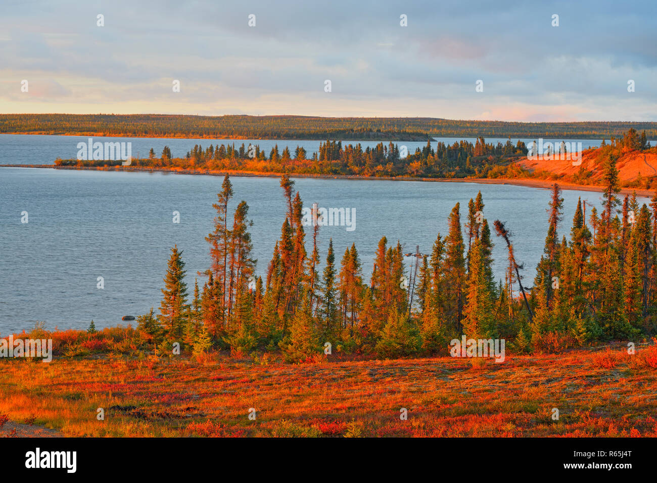 Evening light on terrain overlooking Ennadai Lake, Arctic Haven Lodge ...
