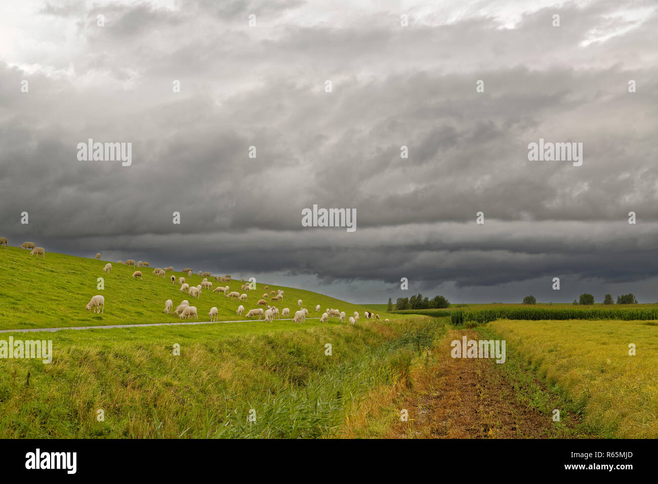 rain clouds are moving across the land Stock Photo - Alamy