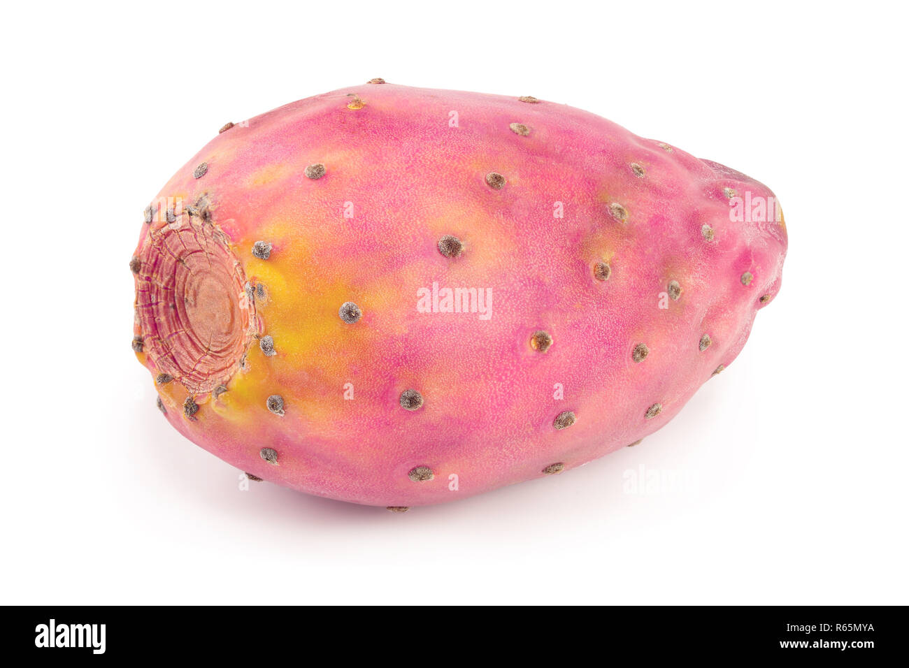 red prickly pear or opuntia isolated on a white background Stock Photo ...