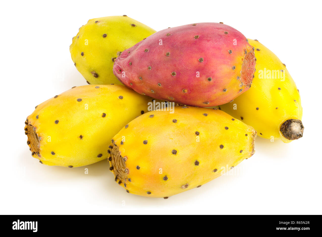 red end yellow prickly pear or opuntia isolated on a white background ...