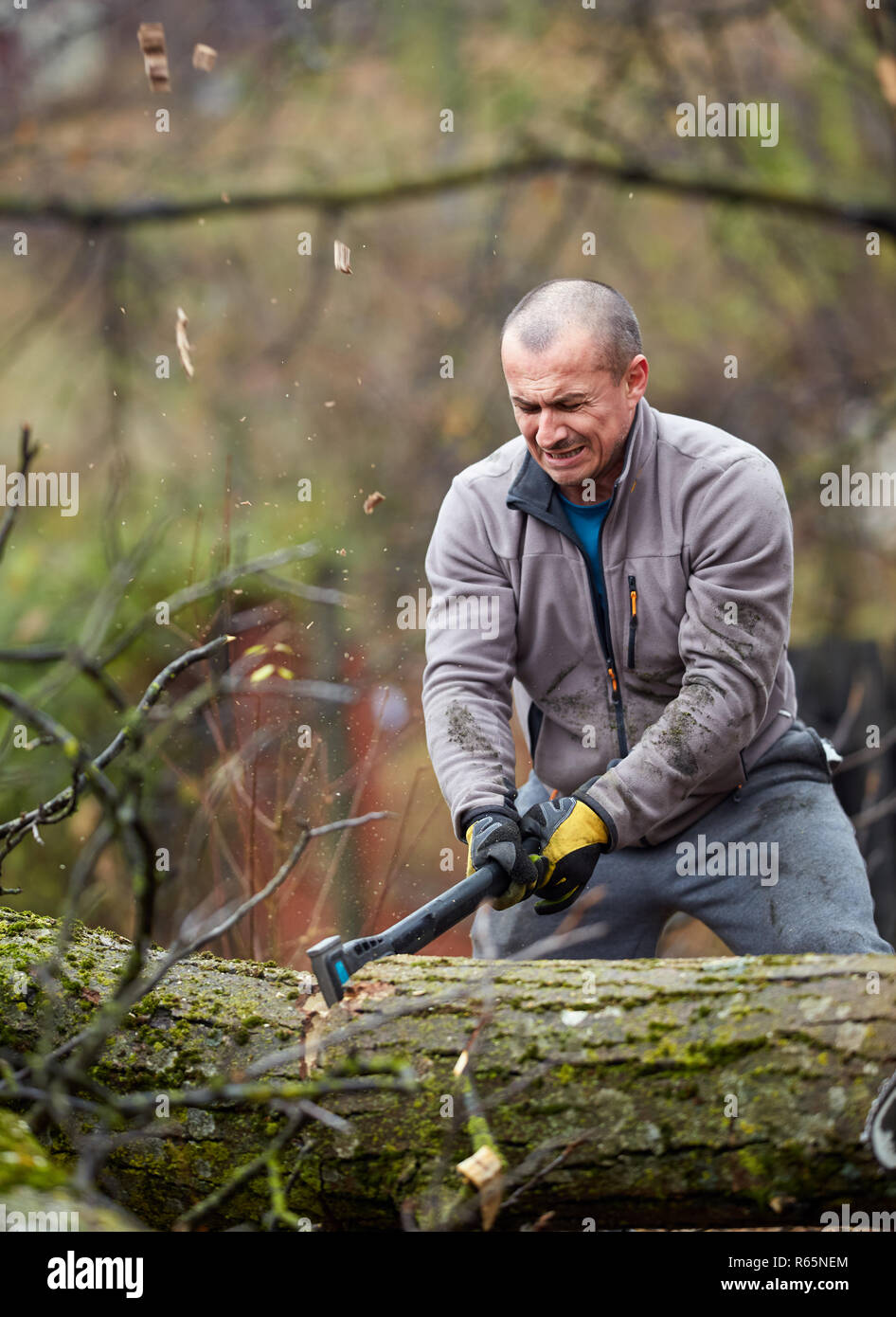Farmer with cutting axe working on a fell tree Stock Photo - Alamy