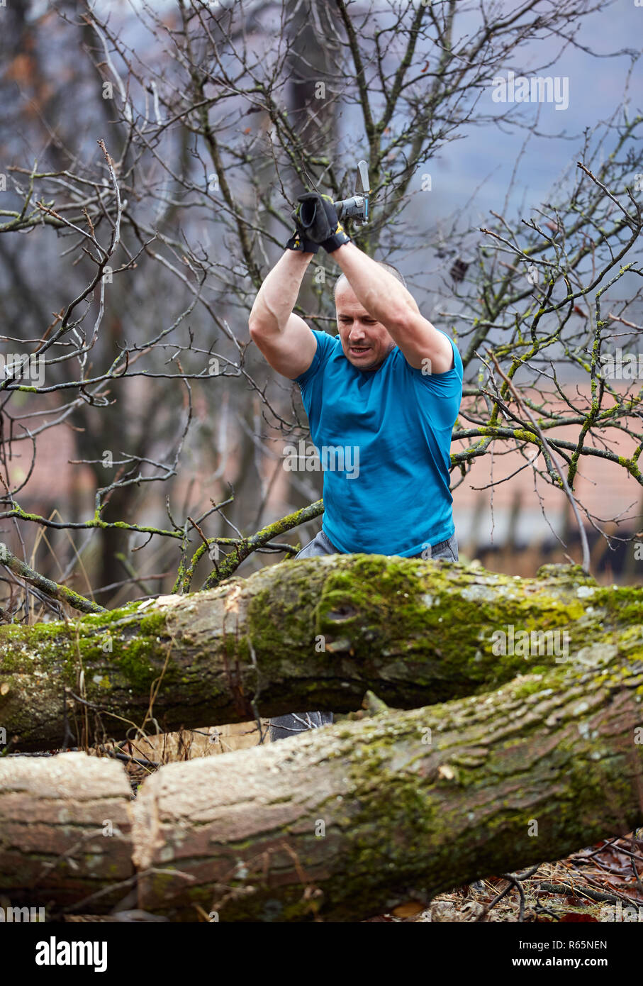 Farmer with cutting axe working on a fell tree Stock Photo - Alamy