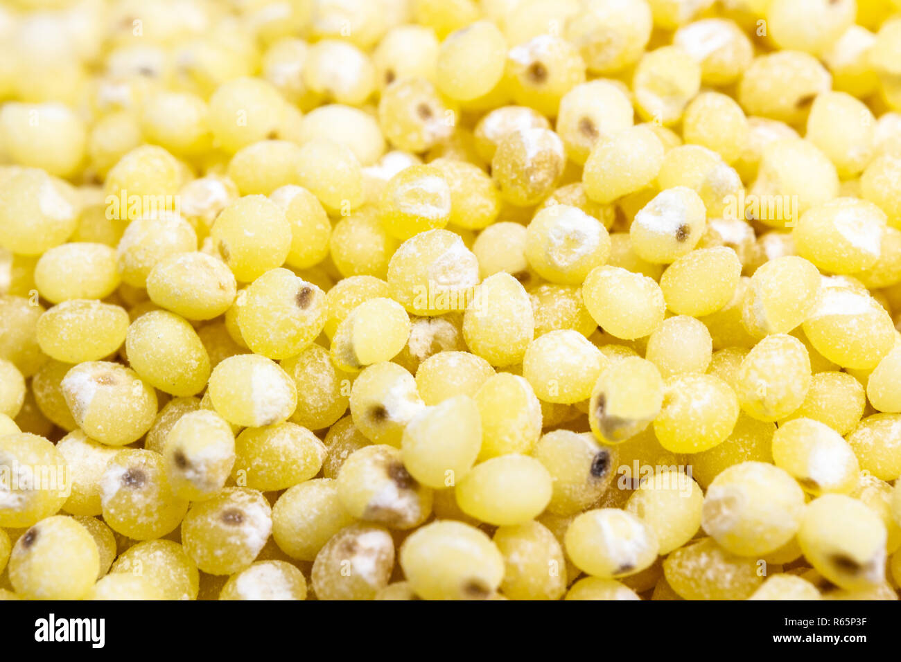Millet seeds hi-res stock photography and images - Alamy