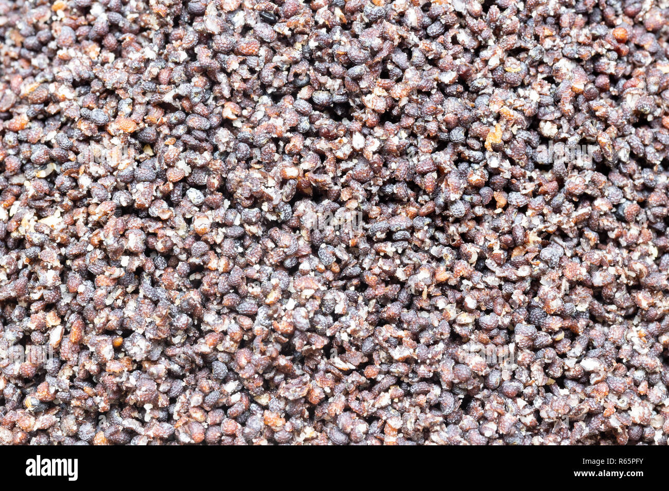 Ground macro hi-res stock photography and images - Alamy
