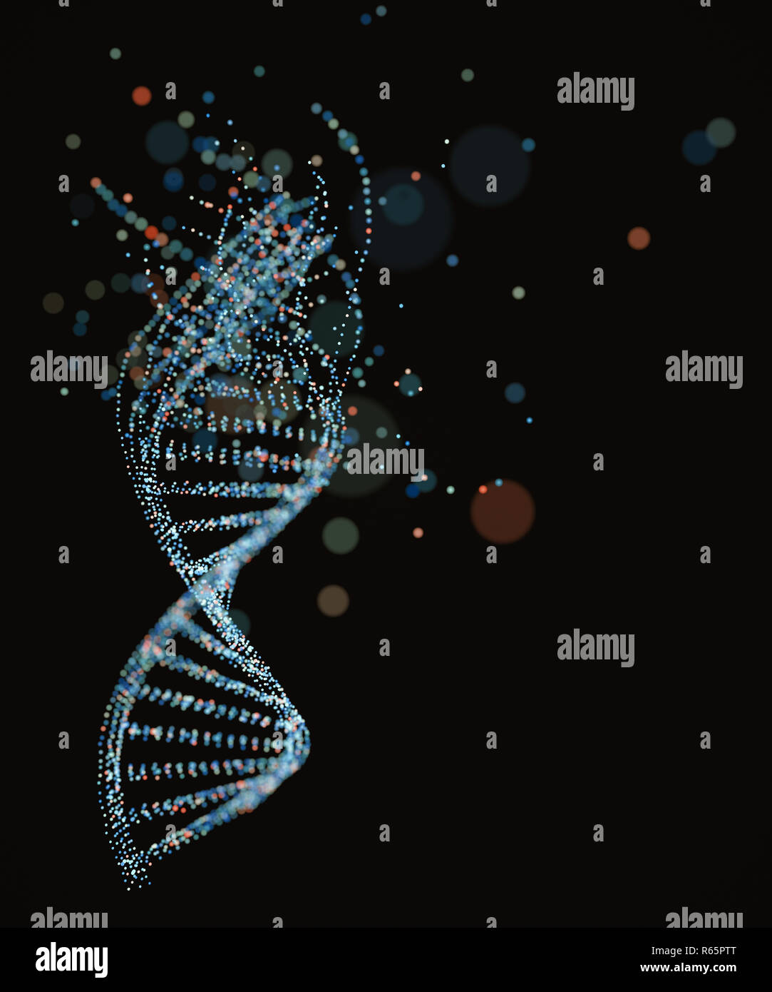 Rna model structure hi-res stock photography and images - Alamy