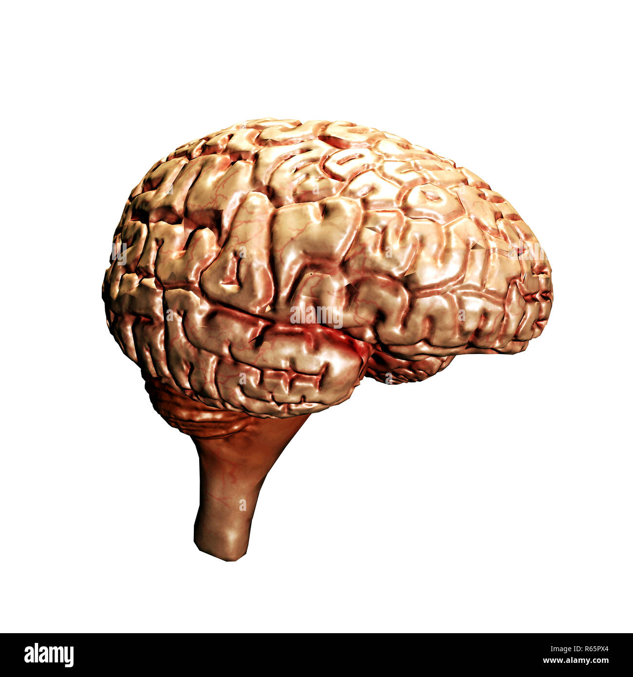 Brain drug Cut Out Stock Images & Pictures - Alamy