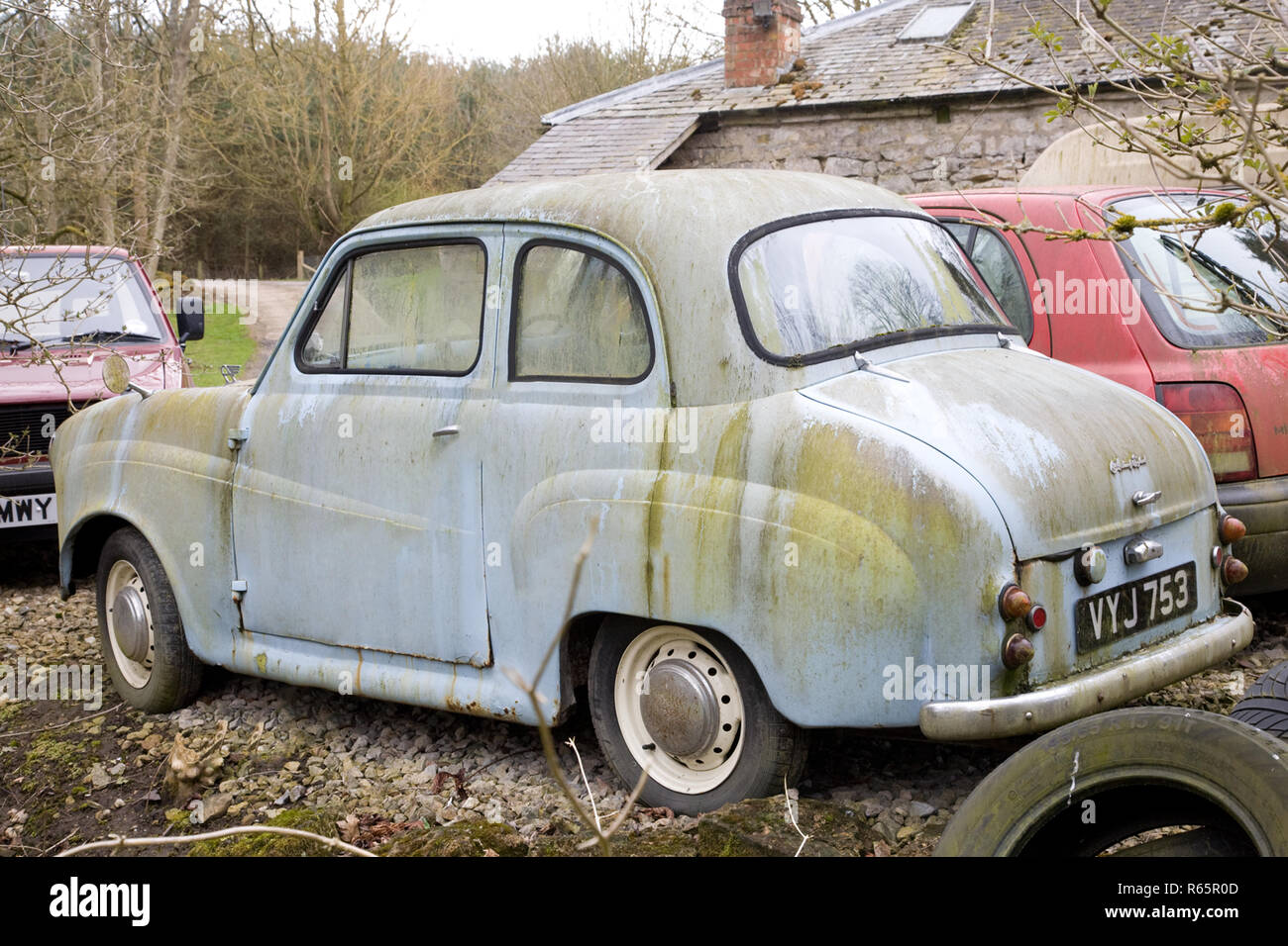 Austin A30 classic motor car from 1958 left to decay and rot in a ...