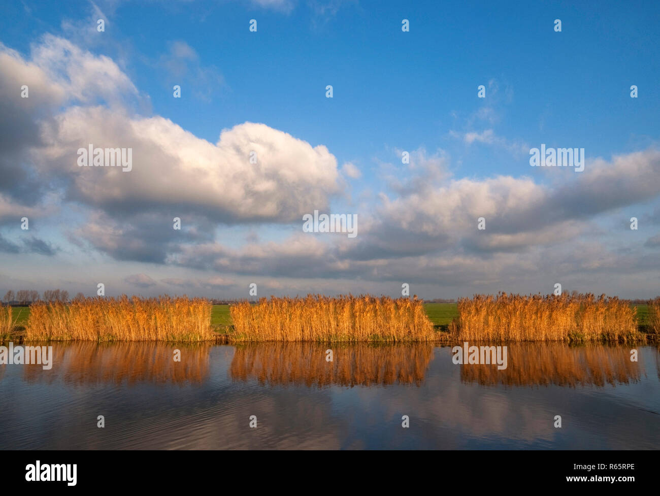 Raking evening light hi-res stock photography and images - Alamy