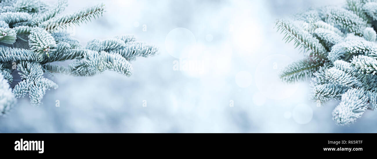 Abstract background tree life covered hi-res stock photography and ...