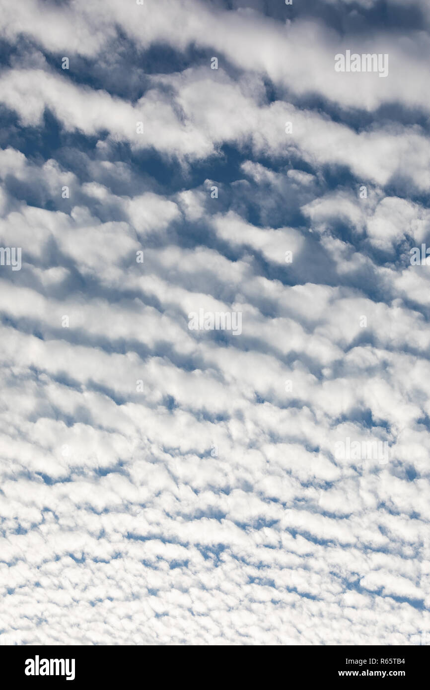 Cirrocumulus clouds altocumulus hi-res stock photography and images - Alamy