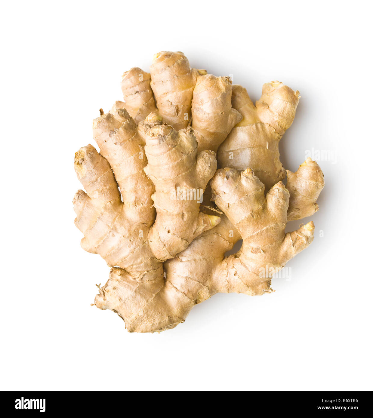 Healthy ginger root Stock Photo - Alamy