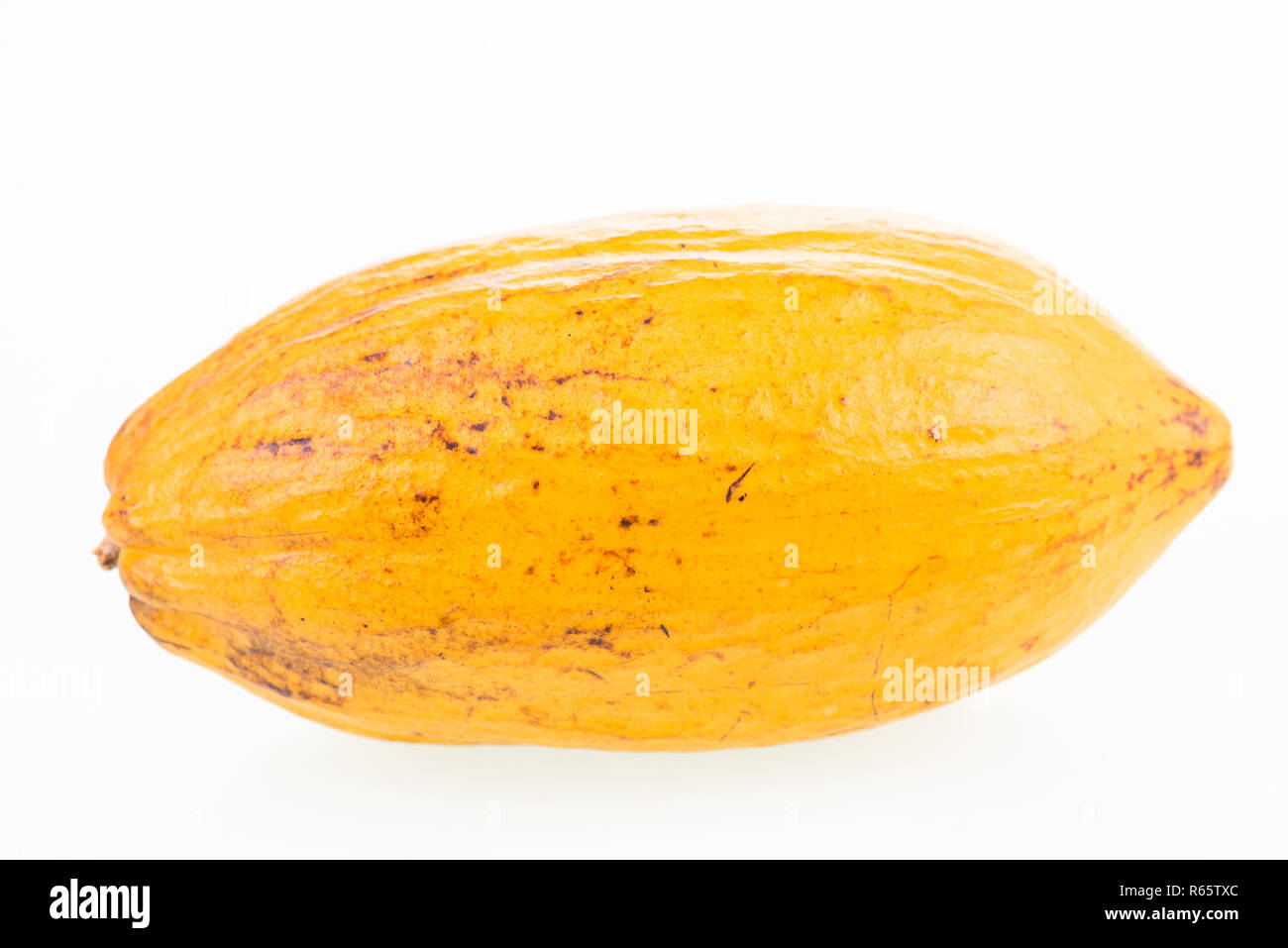 Fresh Cocoa Pod Stock Photo - Alamy