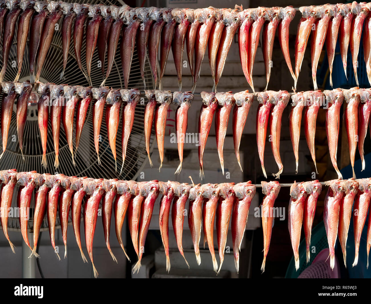 Dehydration bright dry horizontal hi-res stock photography and images ...