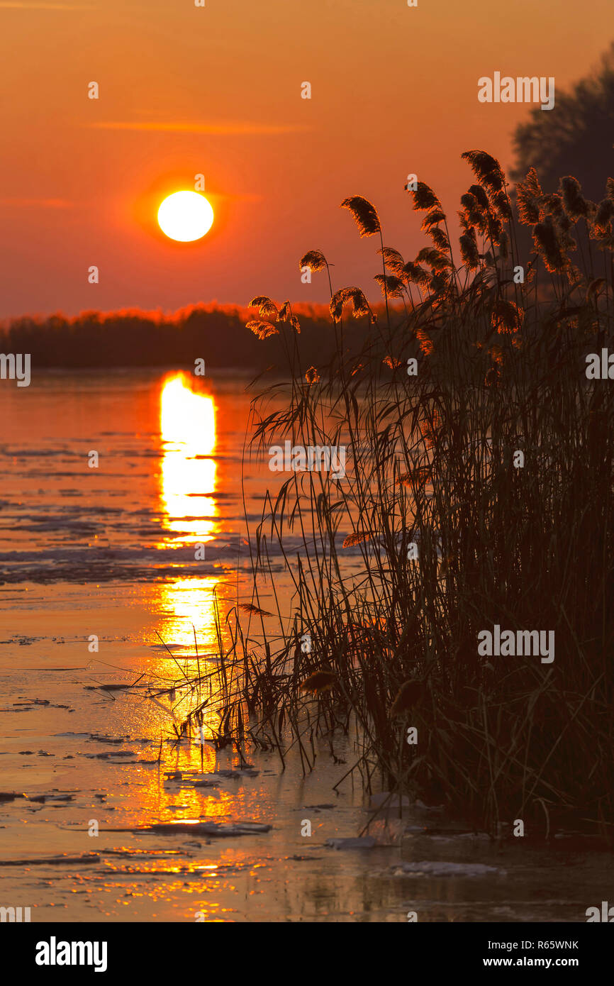 Nice sunrise at lake balaton hi-res stock photography and images - Alamy