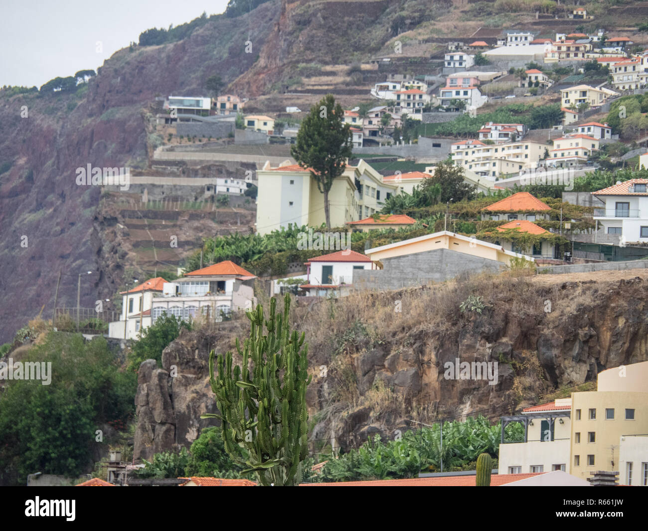 Insel madeira hi-res stock photography and images - Alamy
