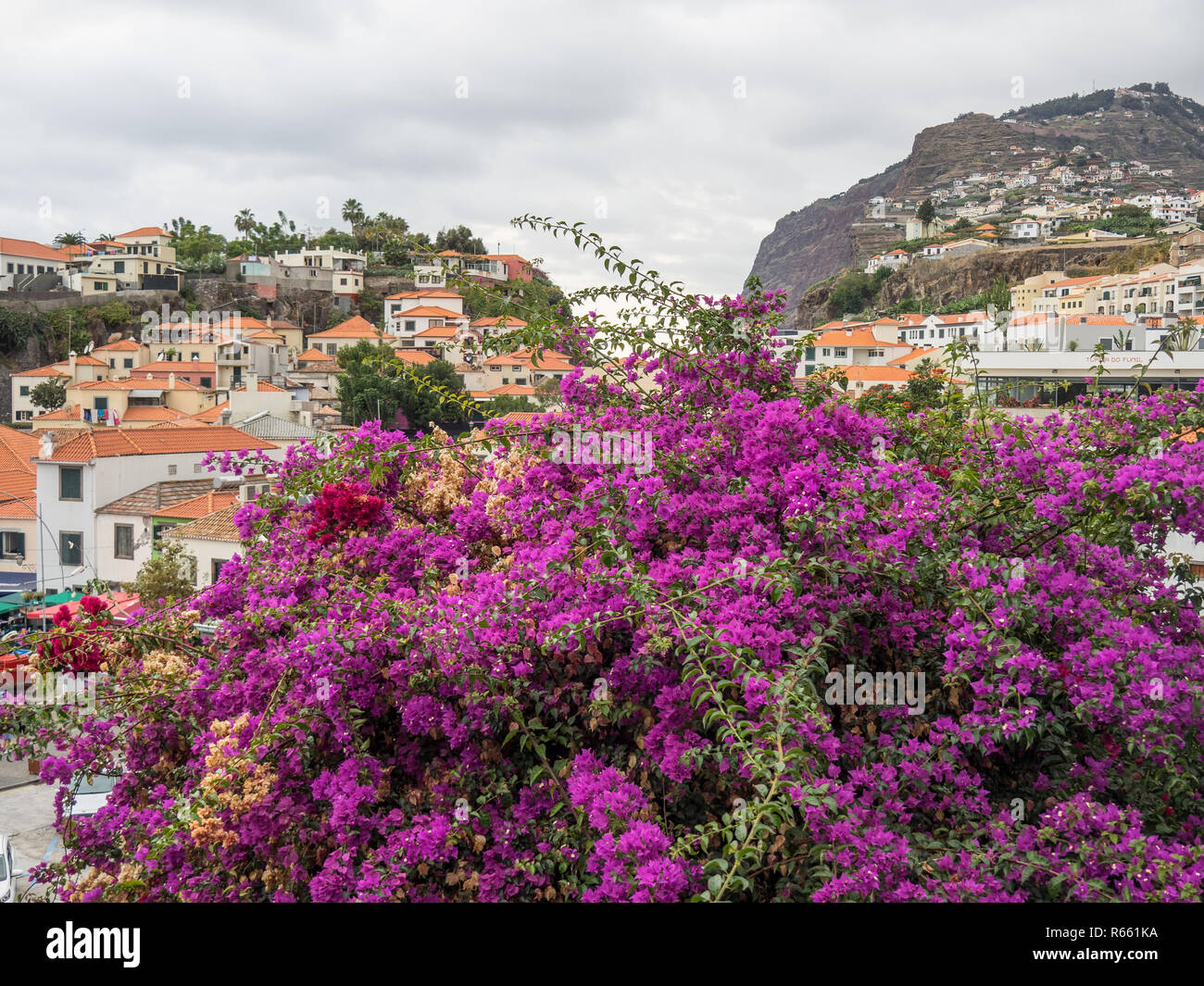Die Insel Madeira Stock Photo - Alamy