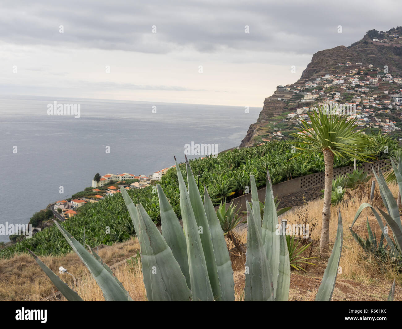 Insel madeira hi-res stock photography and images - Alamy