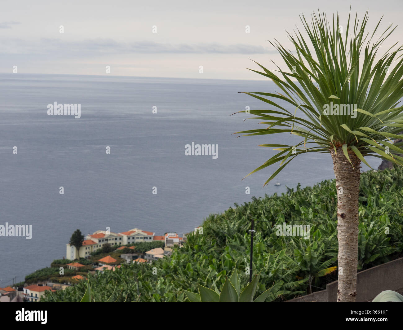 Die Insel Madeira Stock Photo - Alamy