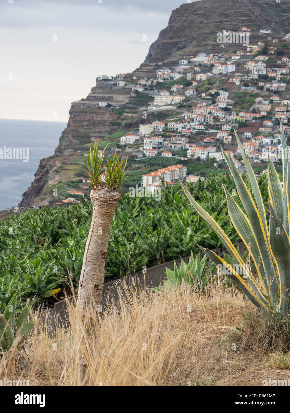 Insel madeira hi-res stock photography and images - Alamy