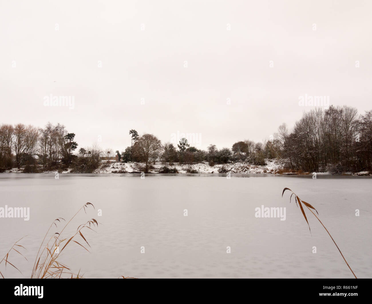frozen over winter lake december outside country trees Stock Photo - Alamy