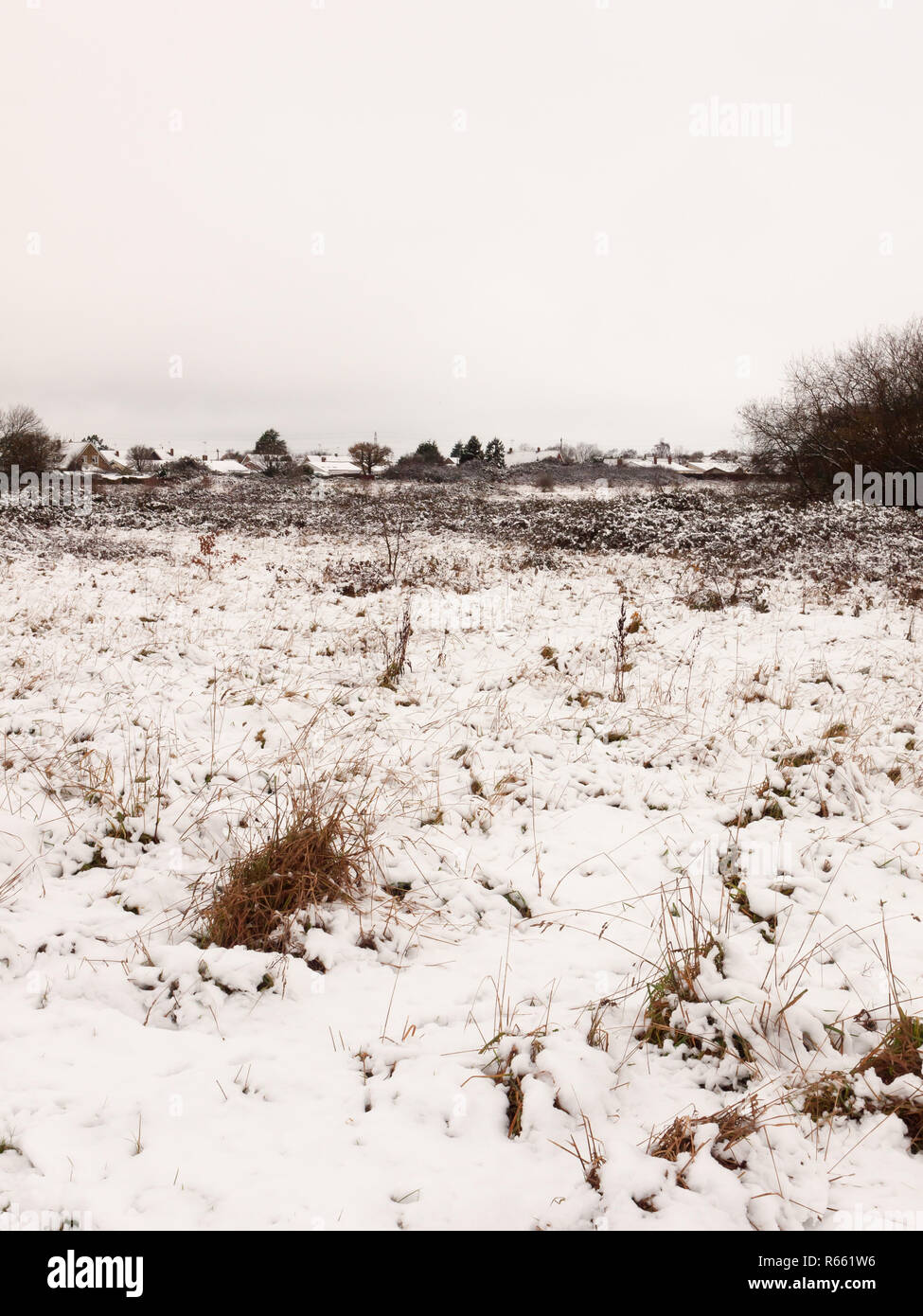 snow covered outside field meadow winter december landscape nature ...