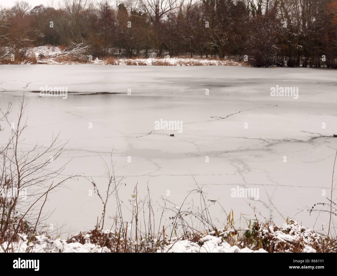 frozen over winter lake water surface outside country december nature ...