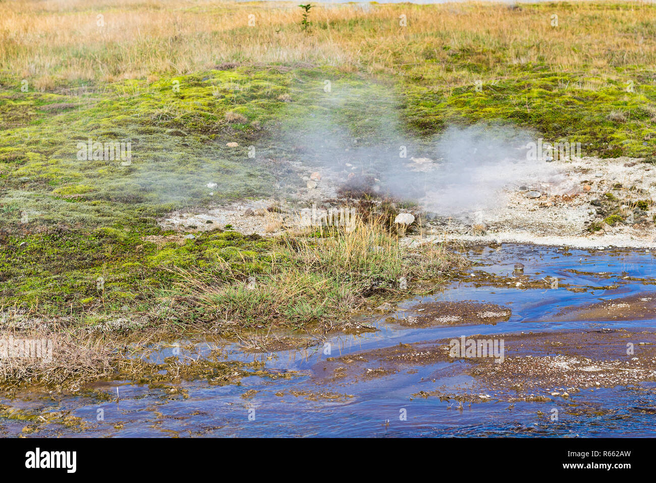 thermal spring in Haukadalur geyser valley Stock Photo - Alamy