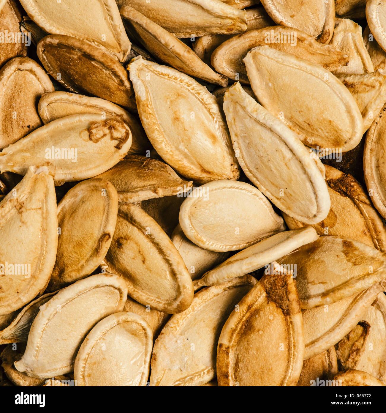 Fried pumpkin seeds, home cooked in oven, macro look Stock Photo - Alamy