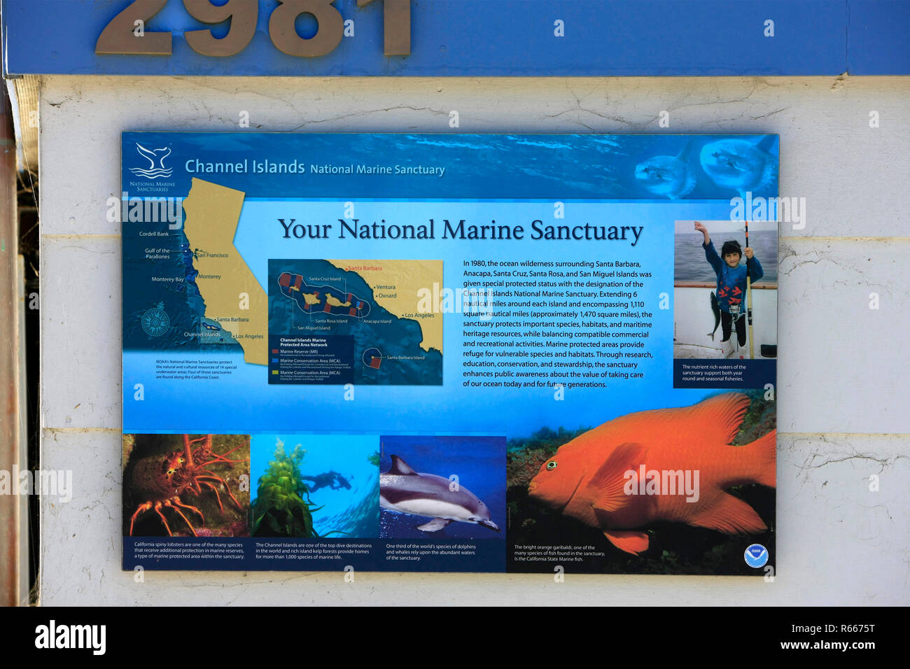 Marine life poster hi-res stock photography and images - Alamy