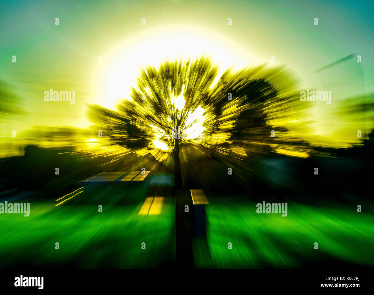 Magic tree hi-res stock photography and images - Alamy