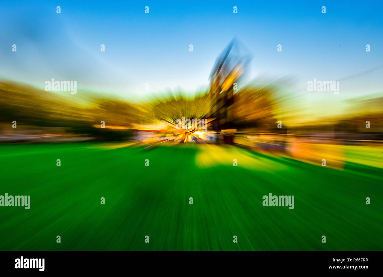 Magic tree hi-res stock photography and images - Alamy