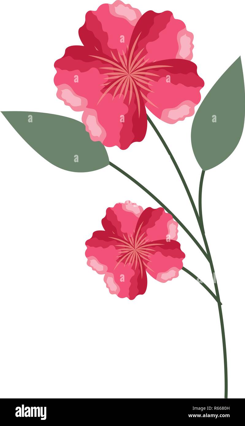 flowers stem botanical on white background vector illustration Stock ...