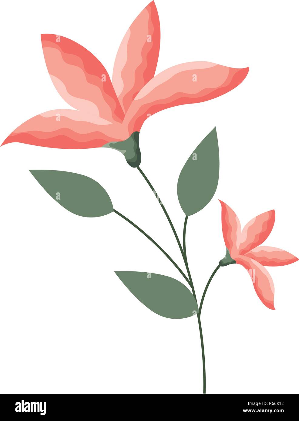 flowers stem botanical on white background vector illustration Stock ...