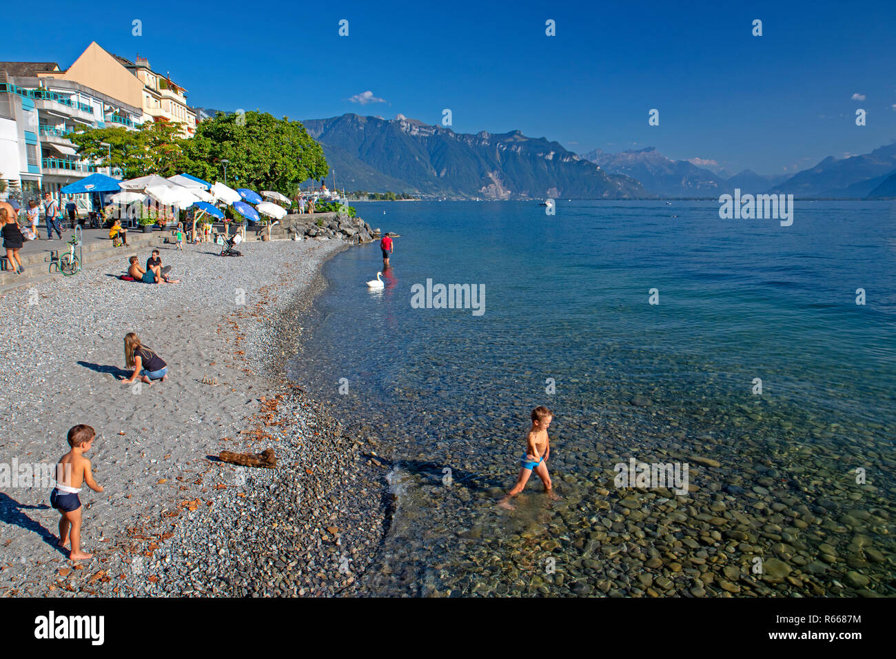 Swimming and playing in Lake Geneva at Vevey Stock Photo - Alamy