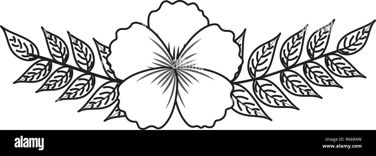 flowers stem botanical on white background vector illustration Stock ...