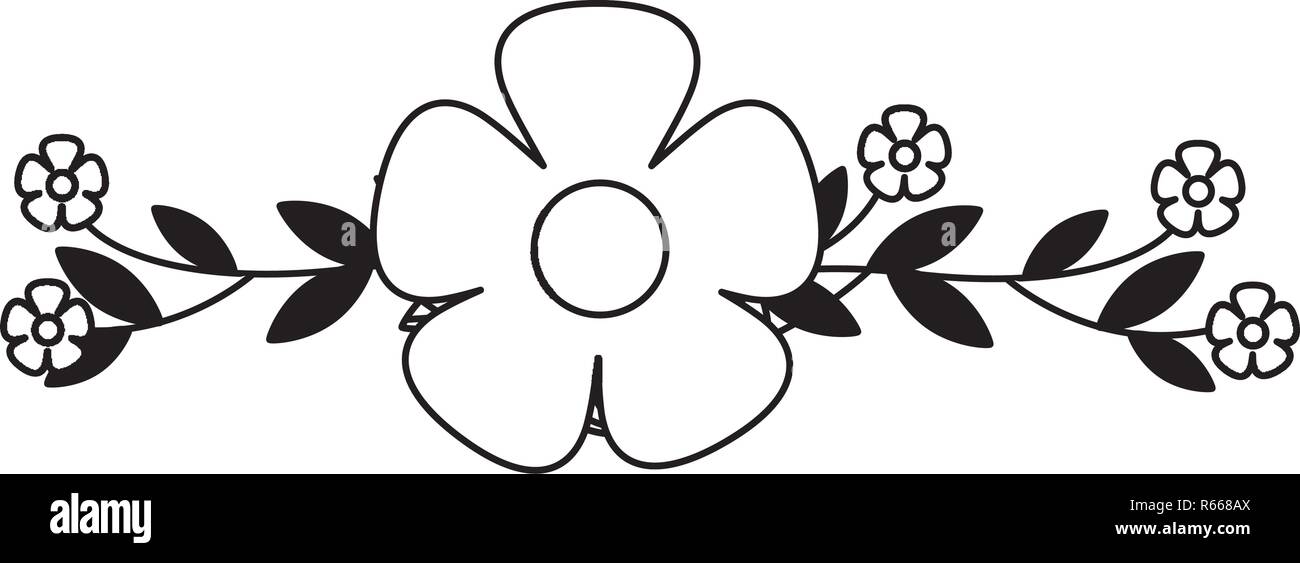 flowers stem botanical on white background vector illustration Stock ...