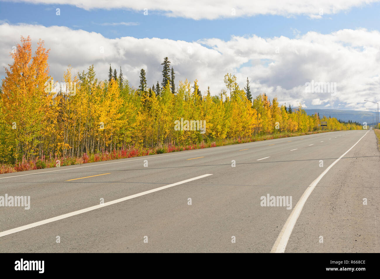 Tok alaska hi-res stock photography and images - Alamy