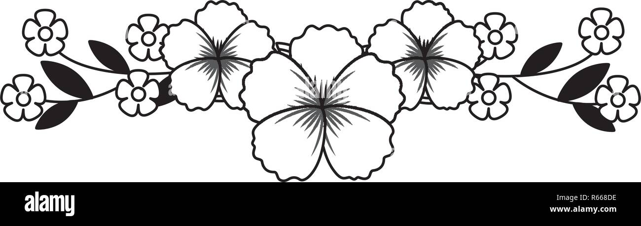 flowers stem botanical on white background vector illustration Stock ...